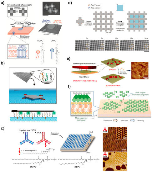 Constructing Large 2D Lattices Out of DNA-Tiles