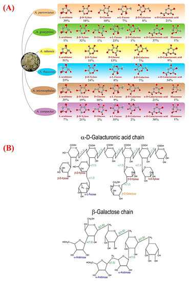 Gum Tragacanth (GT): A Versatile Biocompatible Material beyond Borders