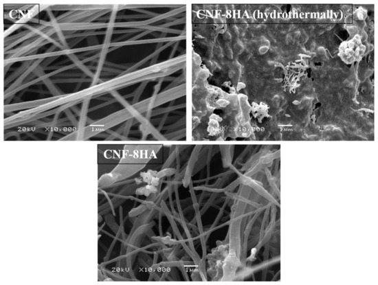 In-Vitro Cytotoxicity Study: Cell Viability and Cell Morphology of ...