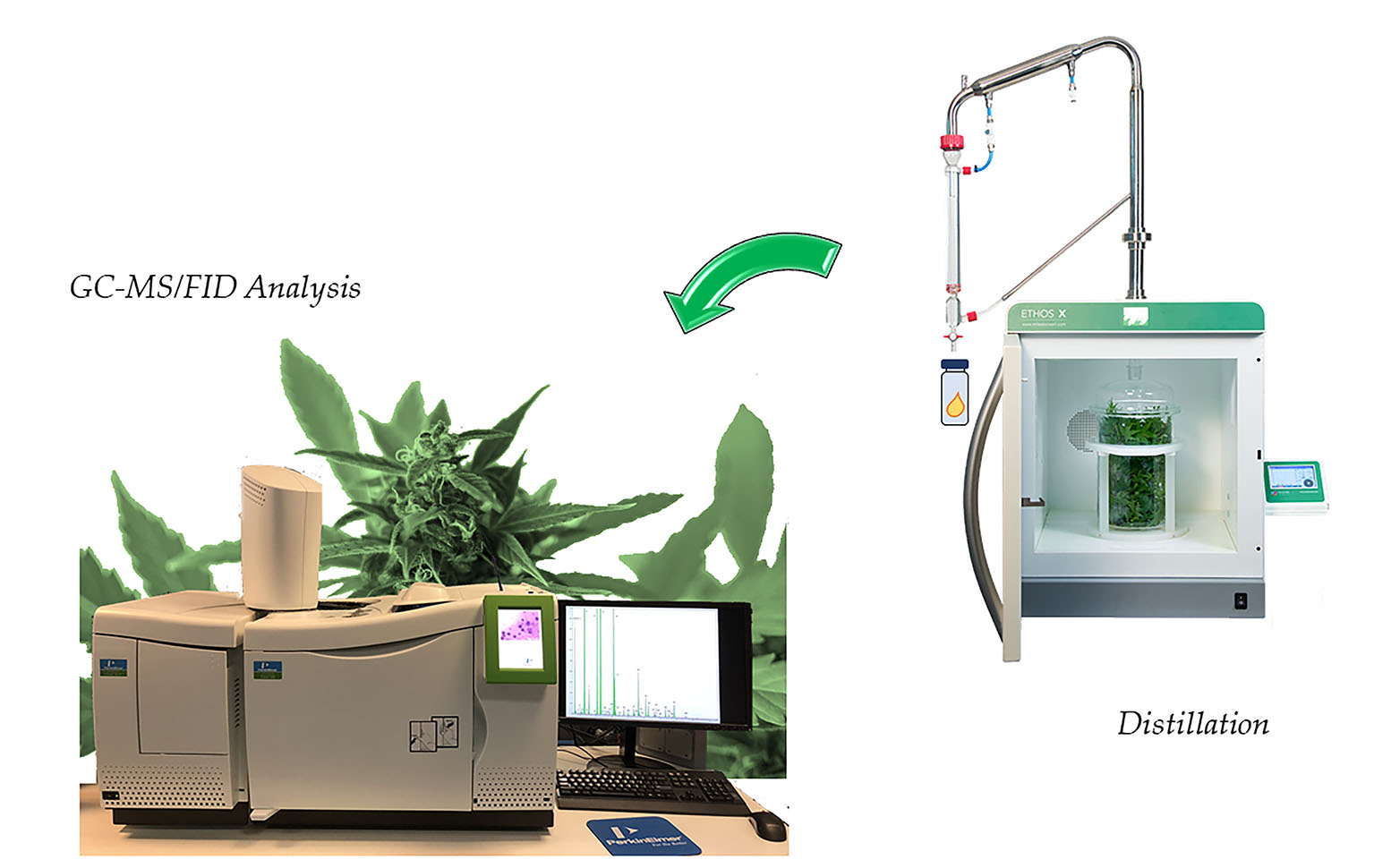 Molecules | Free Full-Text | Development of a Novel Microwave ...