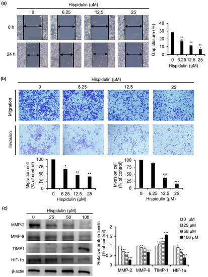 Molecules | Free Full-Text | The Effect of Hispidulin, a Flavonoid from ...