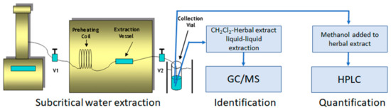Subcritical Water Extraction of Salvia miltiorrhiza