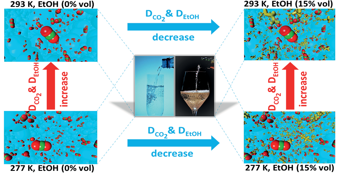 Molecules | Free Full-Text | Unveiling Carbon Dioxide and Ethanol Diffusion in Carbonated Water ...