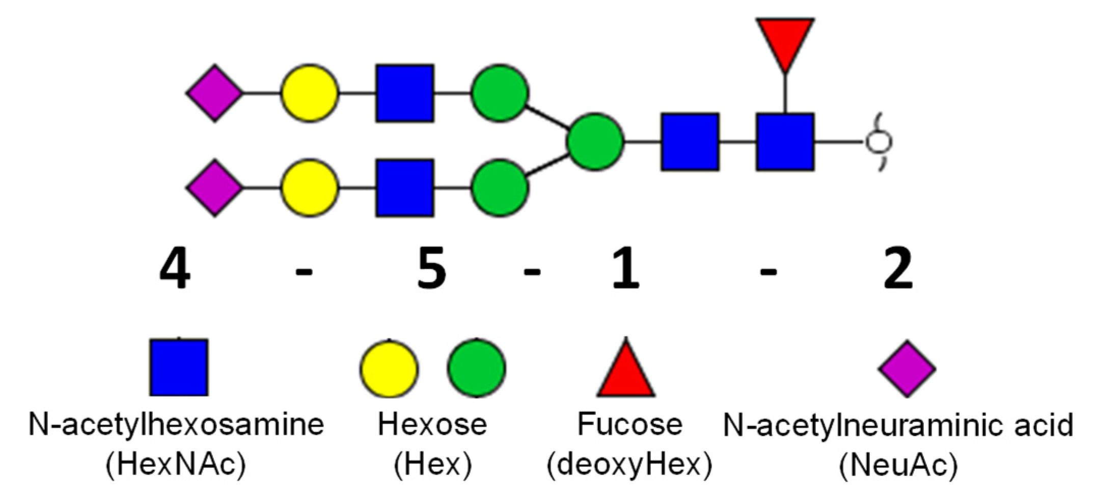 N-Glycomics of Cerebrospinal Fluid: Method Comparison
