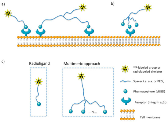 PET Diagnostic Molecules Utilizing Multimeric Cyclic RGD Peptide ...