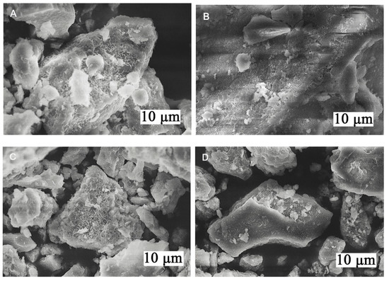 Investigation of Structural and Luminescent Properties of Sol-Gel ...