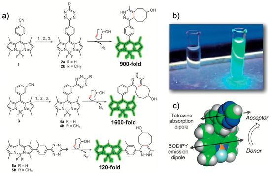 Overview of Syntheses and Molecular-Design Strategies for Tetrazine-Based Fluorogenic Probes