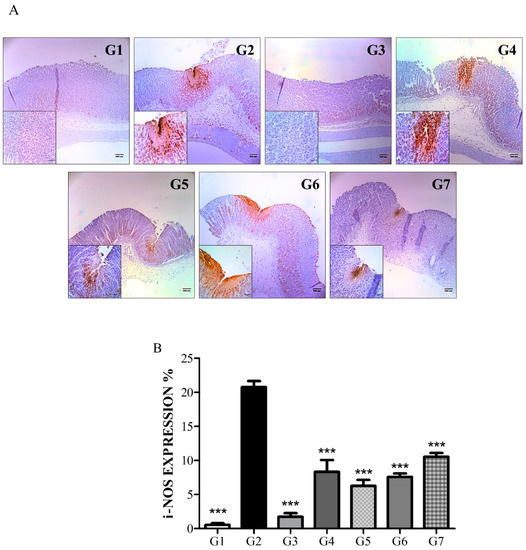 Anti-Inflammatory Effect of Phytoncide in an Animal Model of ...