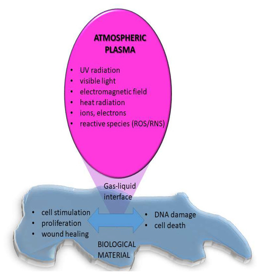 Cold Plasma Systems and Their Application in Surface Treatments for ...