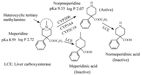 Metabolic N-Dealkylation and N-Oxidation as Elucidators of the Role of ...