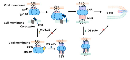 Molecules | Free Full-Text | Synergistic Effect by Combining a gp120 ...