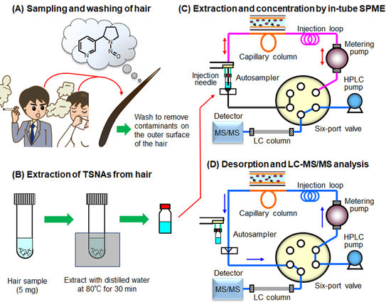 Molecules | Special Issue : Solid-Phase Microextraction and Related Techniques in Bioanalysis