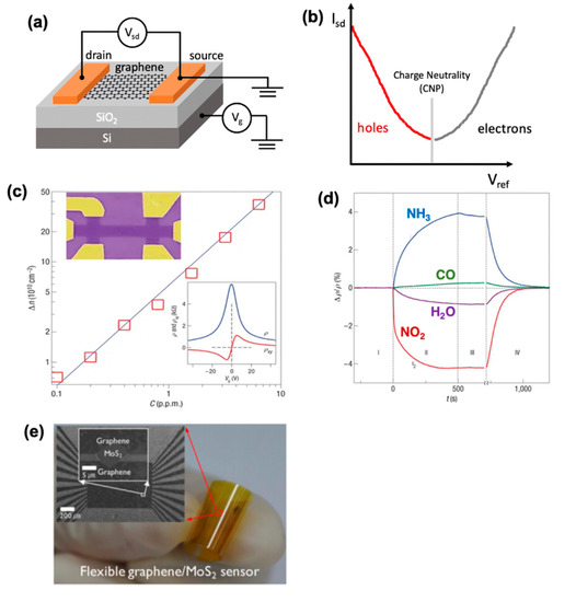 Graphene-Based Environmental Sensors: Electrical and Optical Devices