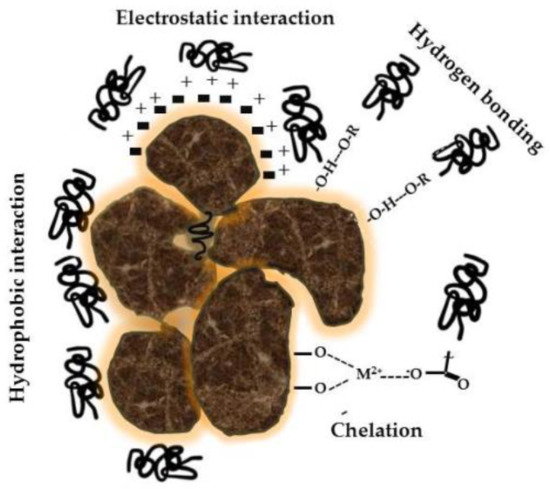 Molecules | Free Full-Text | Chemical Structure and Biological Activity ...