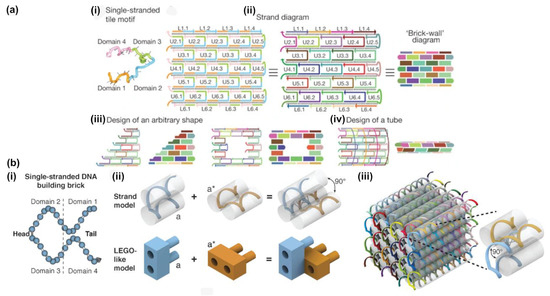 The Art of Designing DNA Nanostructures with CAD Software
