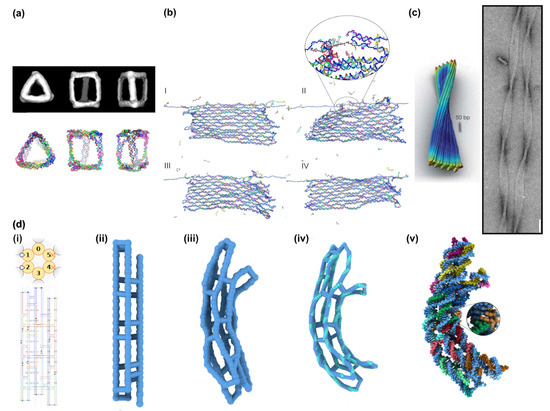The Art of Designing DNA Nanostructures with CAD Software