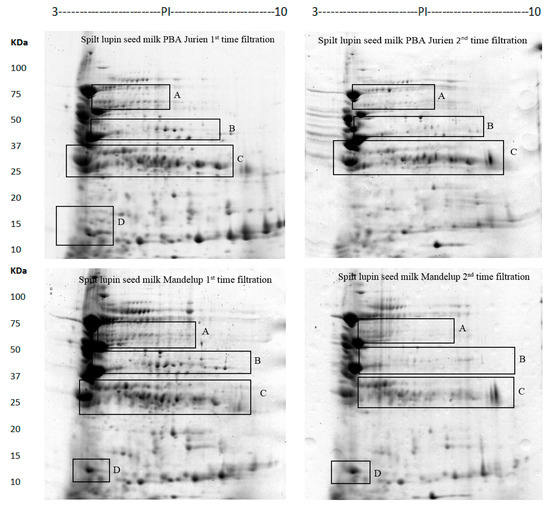 Study on the Correlation between the Protein Profile of Lupin Milk and ...