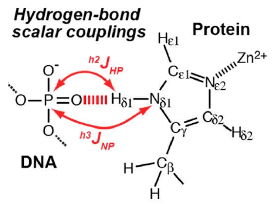 A Spectroscopic Overview of Intramolecular Hydrogen Bonds of NH…O,S,N Type