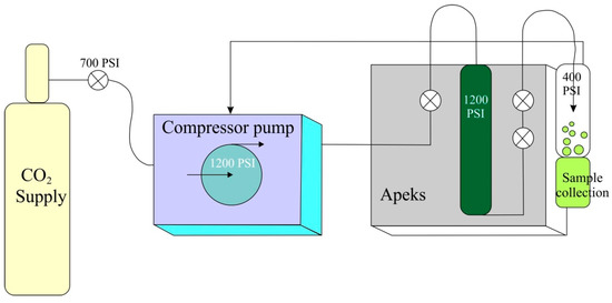 Fleeting Beauty—The World of Plant Fragrances and Their Application