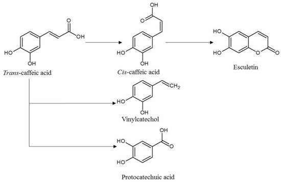 Validated Stability-Indicating GC-MS Method for Characterization of ...