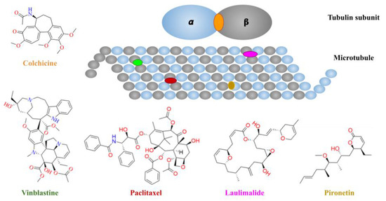 Tubulin Inhibitors: A Chemoinformatic Analysis Using Cell-Based Data