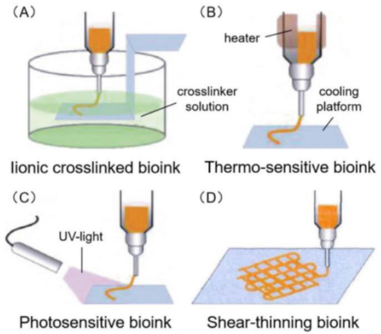 Advanced Strategies for Tissue Engineering in Regenerative Medicine: A ...