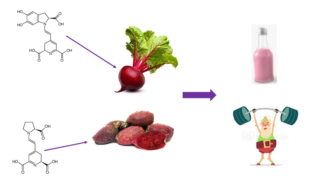 Molecules | Free Full-Text | Biological Properties and Applications of ...