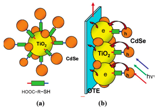 Quantum Dot Sensitized Solar Cell: Photoanodes, Counter Electrodes, and ...