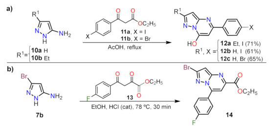 Functional Pyrazolo[1,5-a]pyrimidines: Current Approaches in Synthetic ...