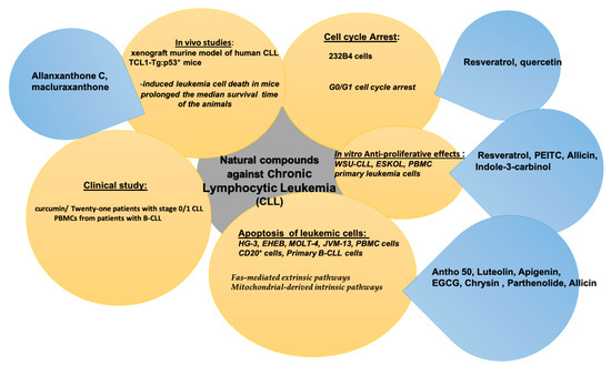 The Anti-Leukemic Activity of Natural Compounds