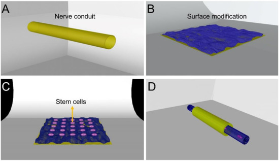 Molecules | Free Full-Text | Polymer Scaffolds for Biomedical ...