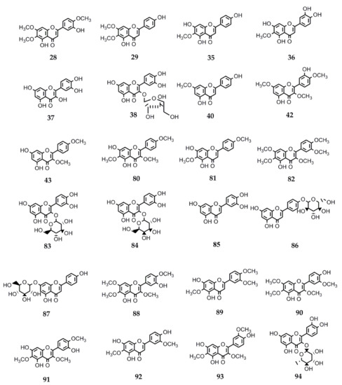 Stevia Genus: Phytochemistry and Biological Activities Update