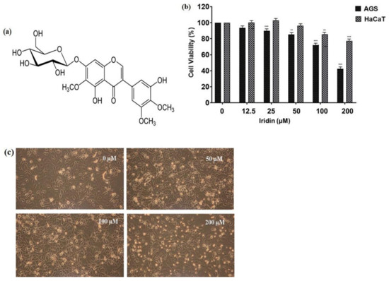 Iridin Induces G2/M Phase Cell Cycle Arrest and Extrinsic Apoptotic ...