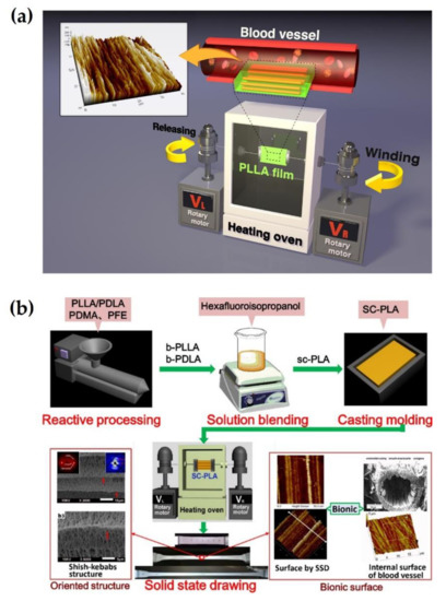 Stereocomplex Polylactide for Drug Delivery and Biomedical Applications ...