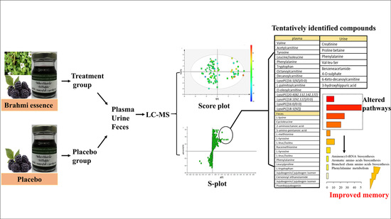 Molecules | Special Issue : LC-MS in Bioanalysis