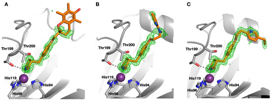 The Glitazone Class of Drugs as Carbonic Anhydrase Inhibitors—A Spin ...