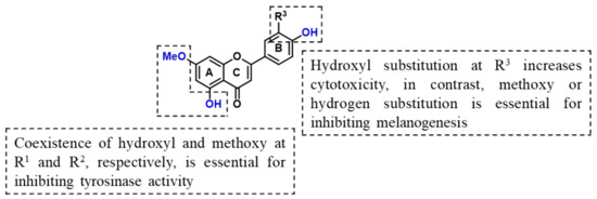 Anti-Melanogenic Properties of Velutin and Its Analogs