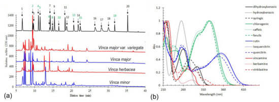 The Phytochemical Analysis of Vinca L. Species Leaf Extracts Is ...