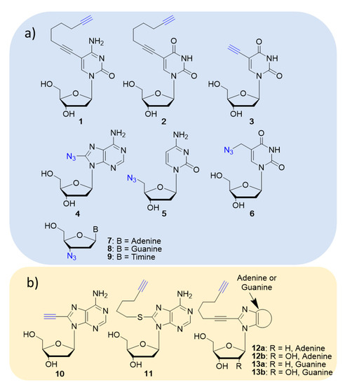 Modified Nucleosides, Nucleotides and Nucleic Acids via Click Azide ...