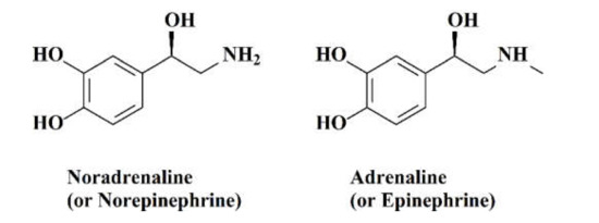 Forensic Biochemical Markers to Evaluate the Agonal Period: A ...