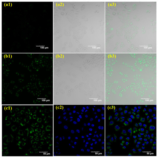Characterization of a Hg2+-Selective Fluorescent Probe Based on ...