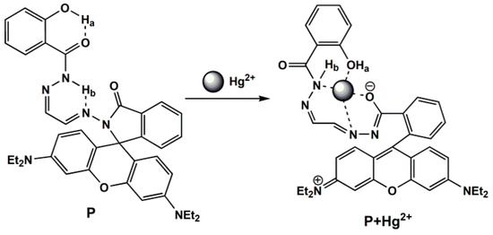 Characterization of a Hg2+-Selective Fluorescent Probe Based on ...