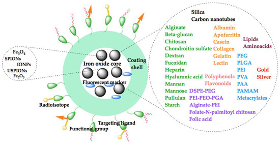 Imaging Constructs: The Rise of Iron Oxide Nanoparticles