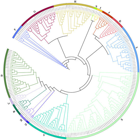 Genome-Wide Analysis of the UGT Gene Family and Identification of ...