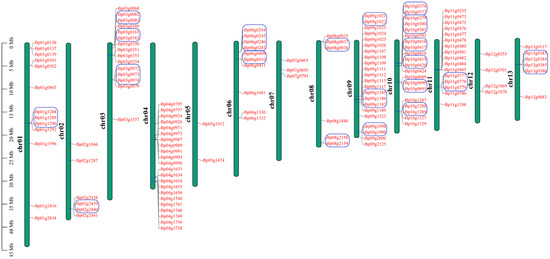 Genome-Wide Analysis of the UGT Gene Family and Identification of ...