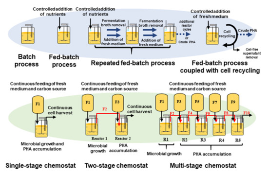 Emergent Approaches to Efficient and Sustainable Polyhydroxyalkanoate ...