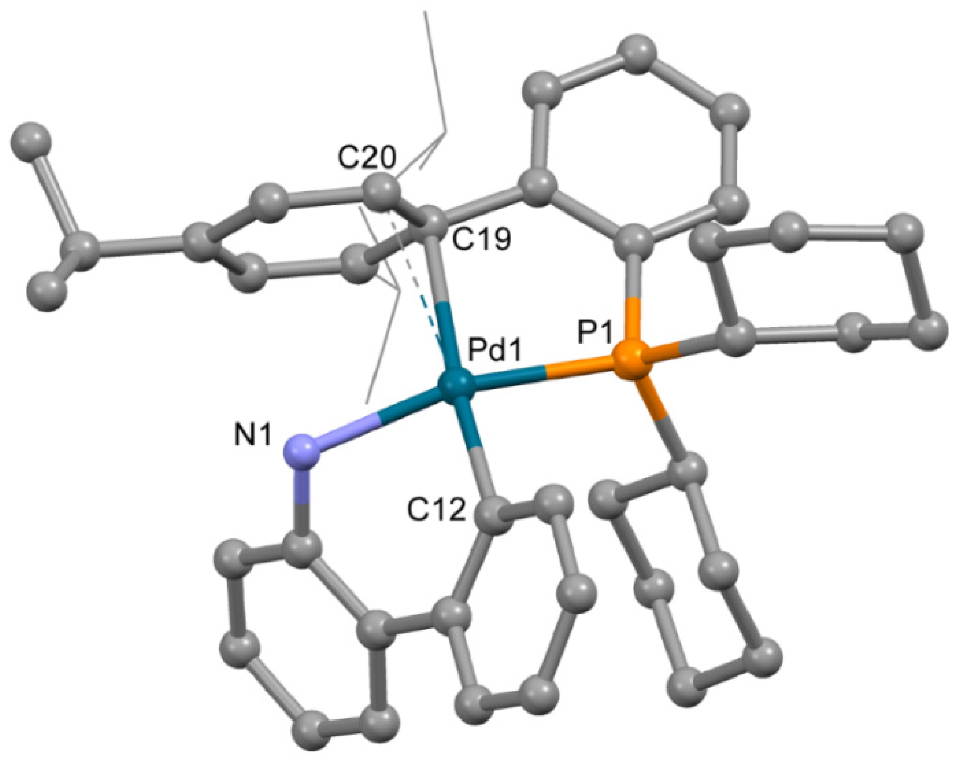 Third Generation Buchwald Precatalysts with XPhos and RuPhos: Multigram ...