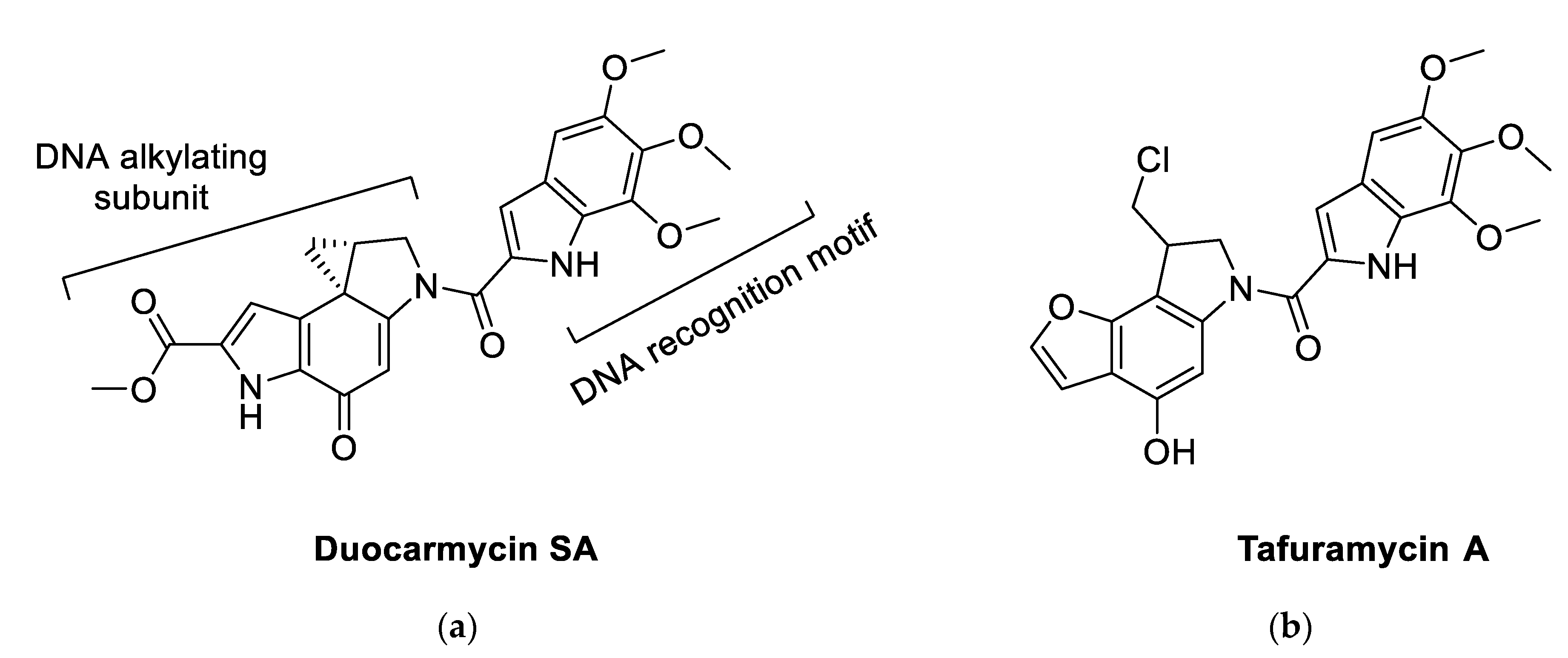 Selective Targeting of Breast Cancer by Tafuramycin A Using SMA ...
