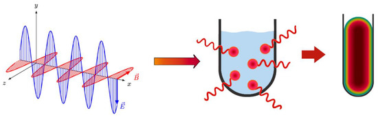Microwave Synthetic Routes for Shape-Controlled Catalyst Nanoparticles ...