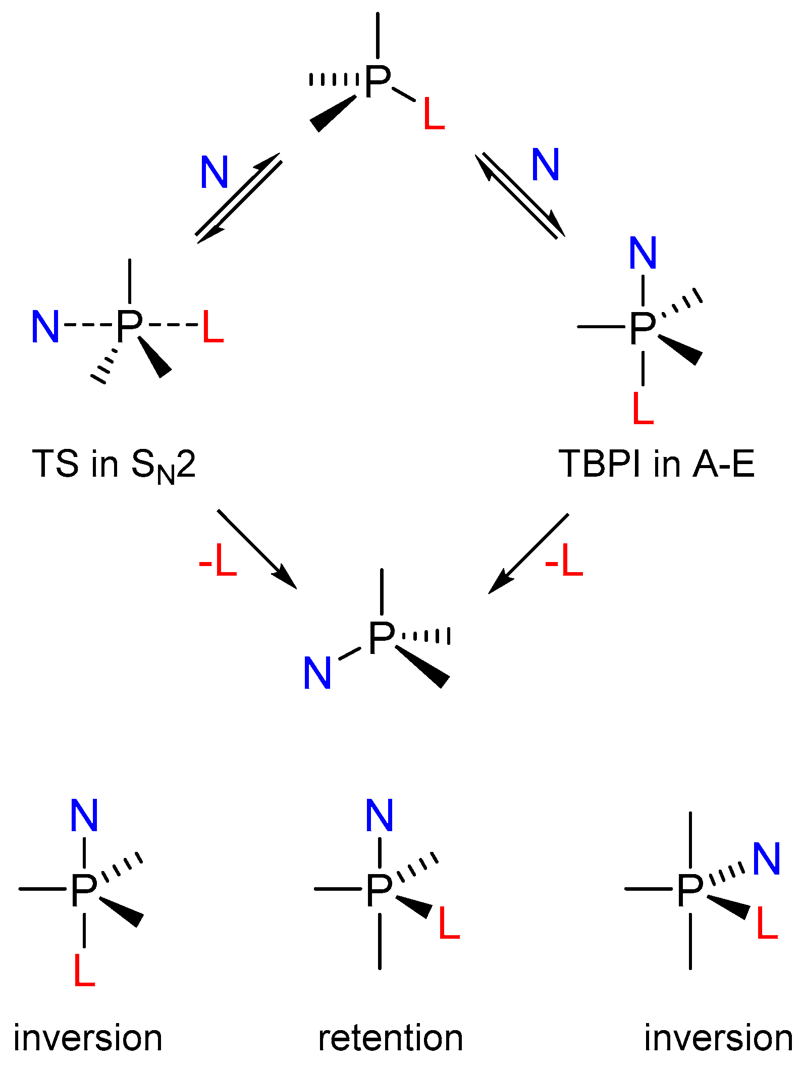 Molecules | Free Full-Text | Nucleophilic Substitution at ...